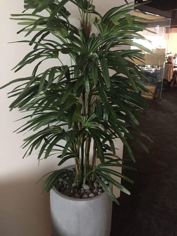 Artificial Palms - Bretts Plants