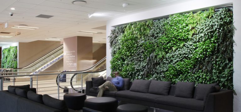VersiWall Green Wall System - Bretts Plants