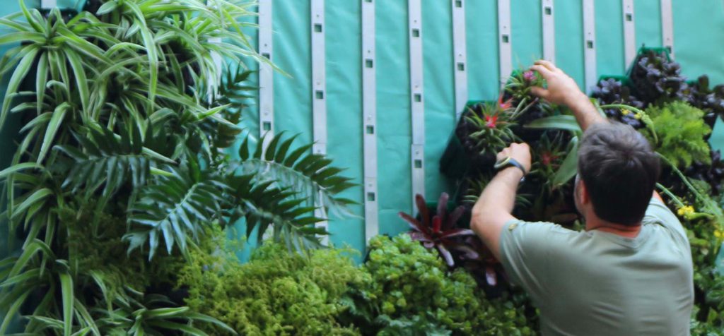 VersiWall Green Wall System - Bretts Plants